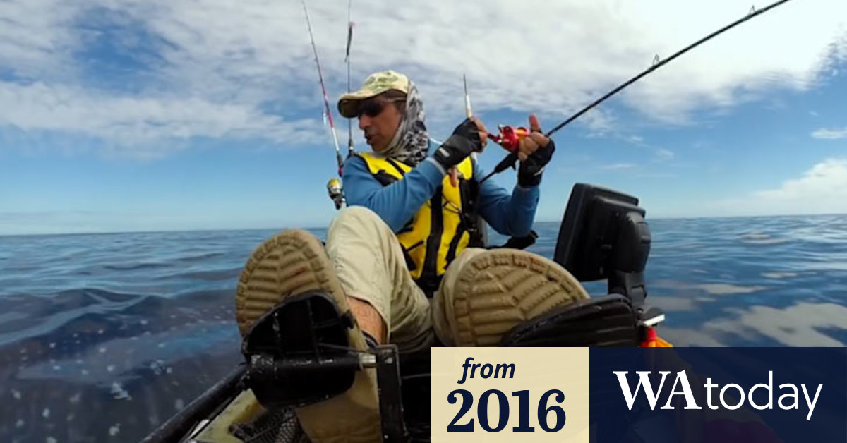 Video: Fisherman's whale shark encounter